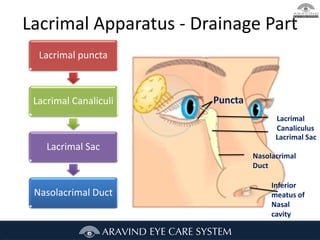 Anatomy-and-Physiology-of-Lacrimal-System.pdf
