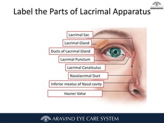 Anatomy-and-Physiology-of-Lacrimal-System.pdf