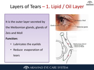 Anatomy-and-Physiology-of-Lacrimal-System.pdf