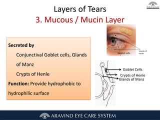 Anatomy-and-Physiology-of-Lacrimal-System.pdf