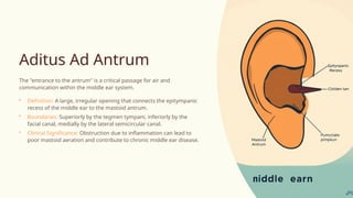 Anatomy-and-Physiology-of-Middle-Ear-Structures (1).pptx