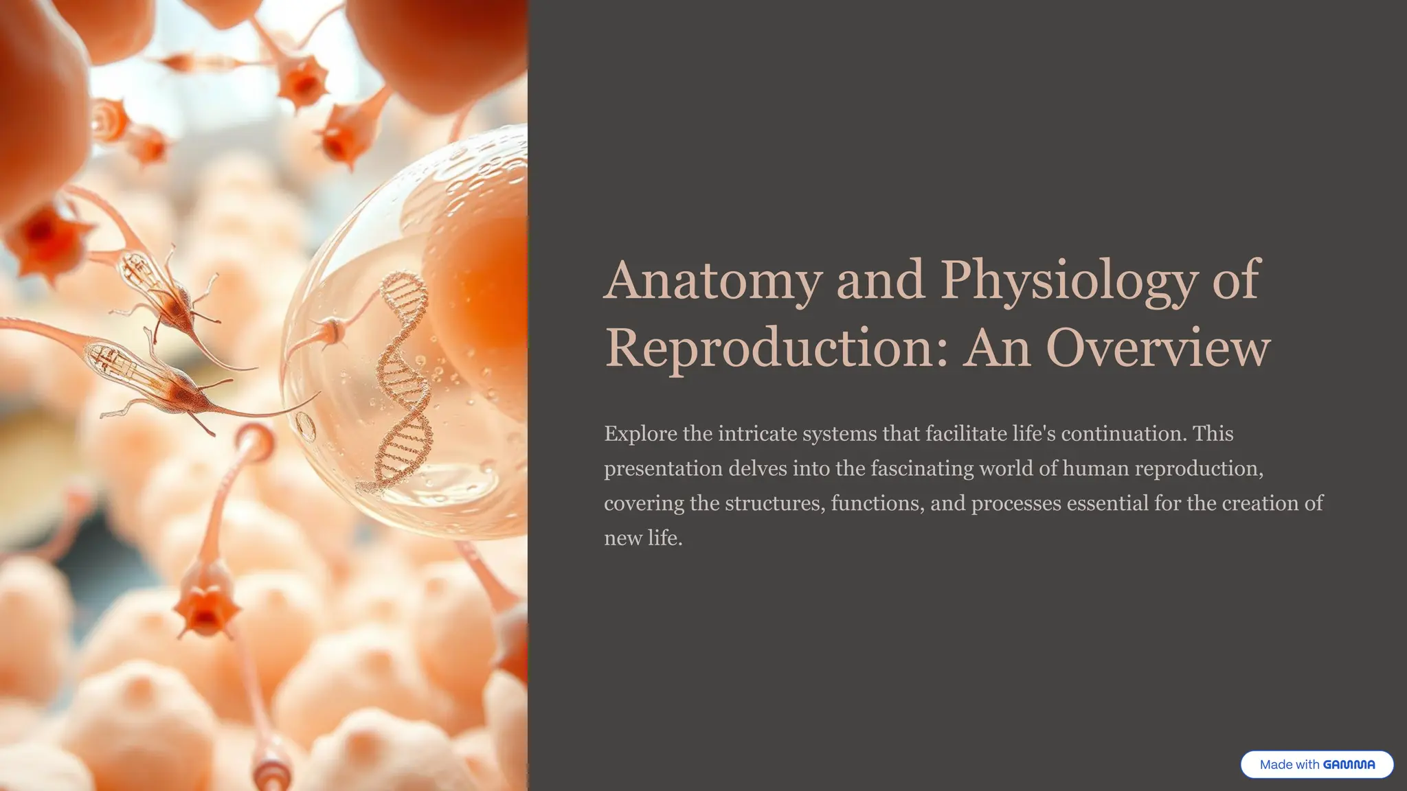 Anatomy-and-Physiology-of-Reproduction-An-Overview.pptx