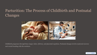 Anatomy-and-Physiology-of-Reproduction-An-Overview.pptx