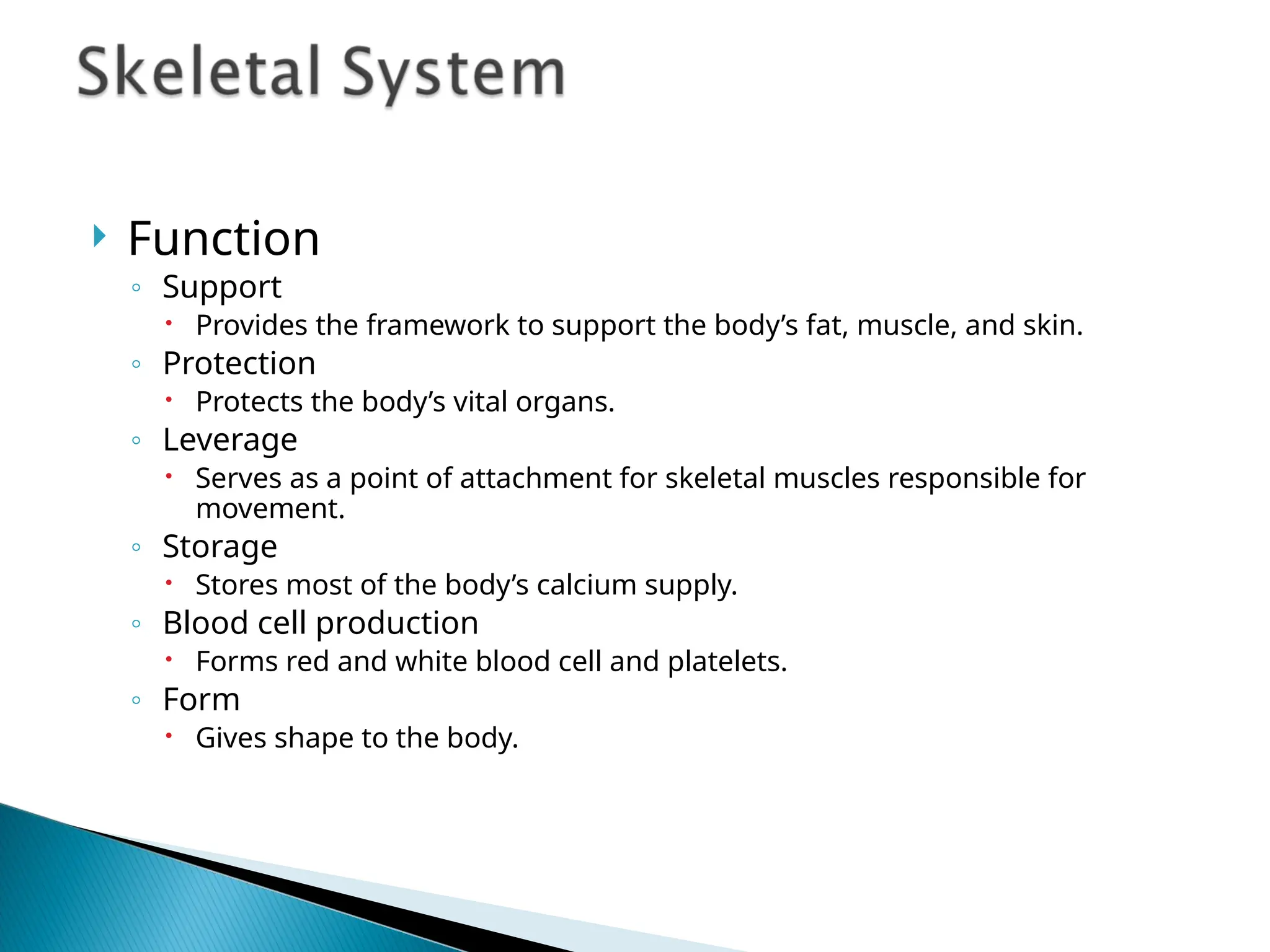 Anatomy-and-Physiology-of-the-Skeletal-System.ppt