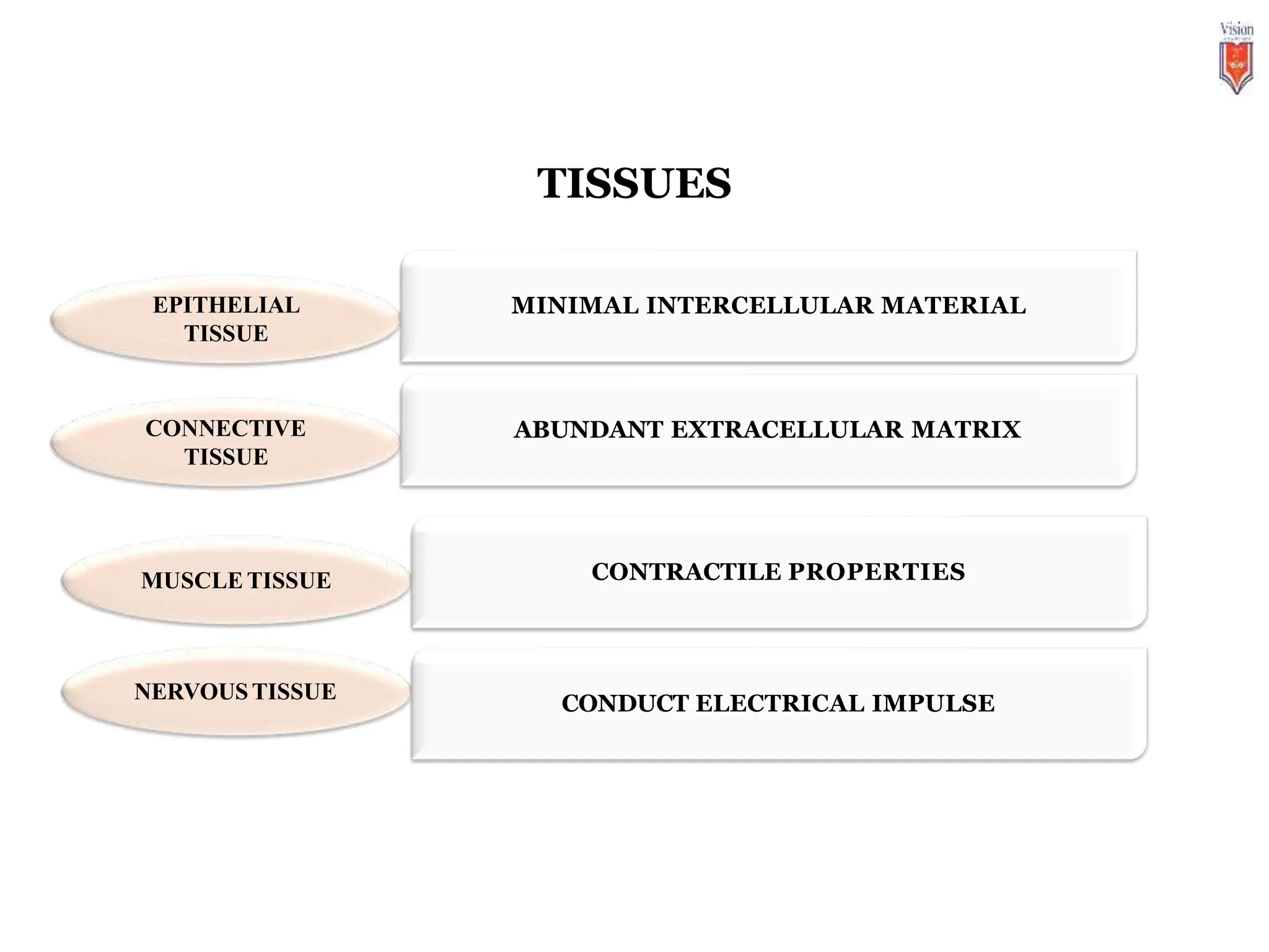 ANATOMY-AND-PHYSIOLOGY CELL STRUCTURE AND FUNCTIONS | PPTX