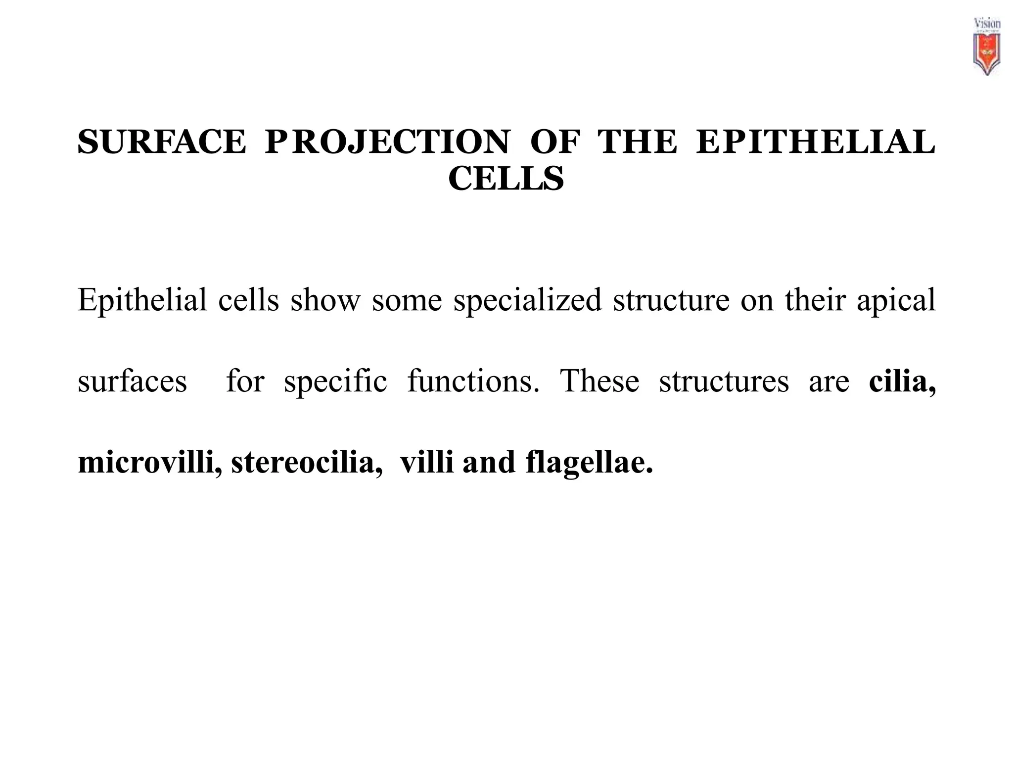 ANATOMY-AND-PHYSIOLOGY CELL STRUCTURE AND FUNCTIONS | PPTX