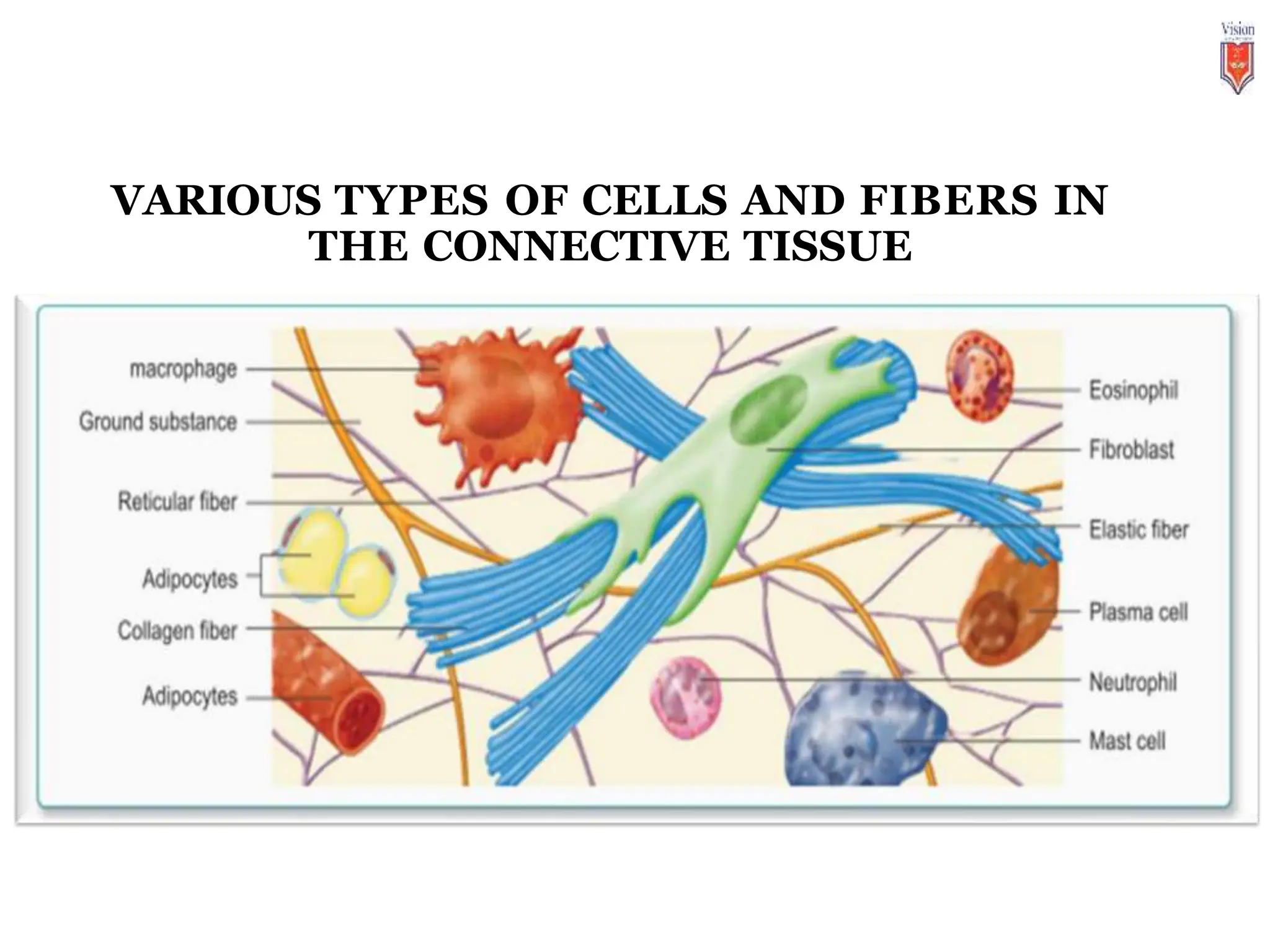 ANATOMY-AND-PHYSIOLOGY CELL STRUCTURE AND FUNCTIONS | PPT