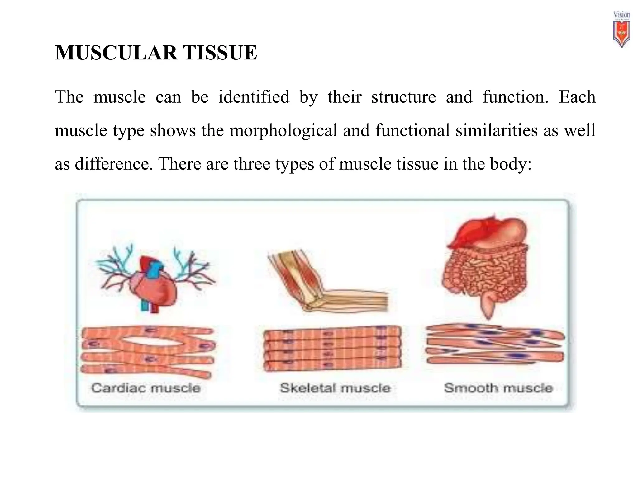 ANATOMY-AND-PHYSIOLOGY CELL STRUCTURE AND FUNCTIONS | PPT