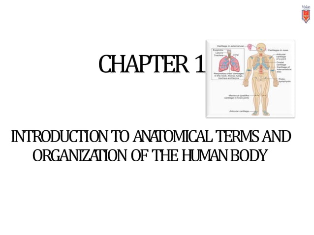 ANATOMY-AND-PHYSIOLOGY CELL STRUCTURE AND FUNCTIONS | PPT