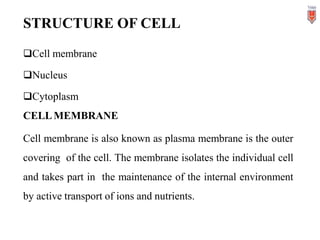 ANATOMY-AND-PHYSIOLOGY CELL STRUCTURE AND FUNCTIONS | PPTX