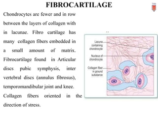 ANATOMY-AND-PHYSIOLOGY CELL STRUCTURE AND FUNCTIONS | PPTX