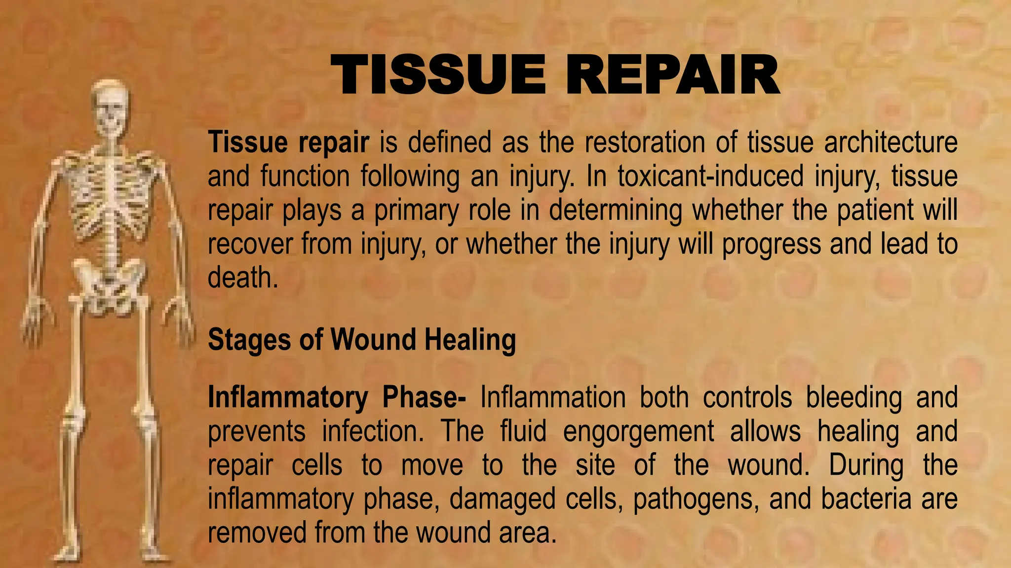 Anatomy-and-Physiology-unit-2.pppppppptx | PPT