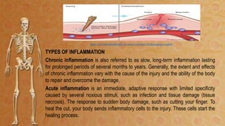 Anatomy-and-Physiology-unit-2.pppppppptx | PPT