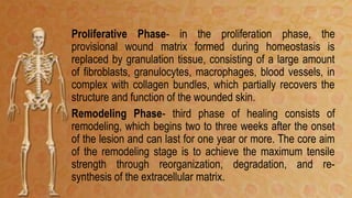 Anatomy-and-Physiology-unit-2.pppppppptx | PPT