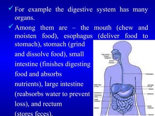 Anatomy and-physiologyppt1424 | PPT