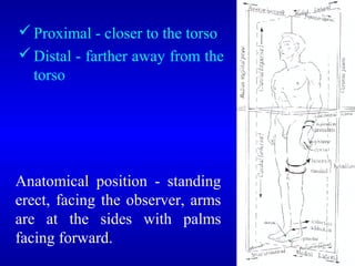 Anatomy and-physiologyppt1424 | PPT