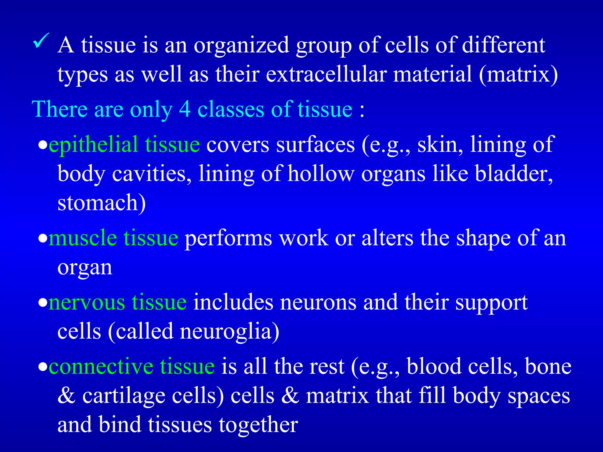 Anatomy And Physiology of Human body | PDF