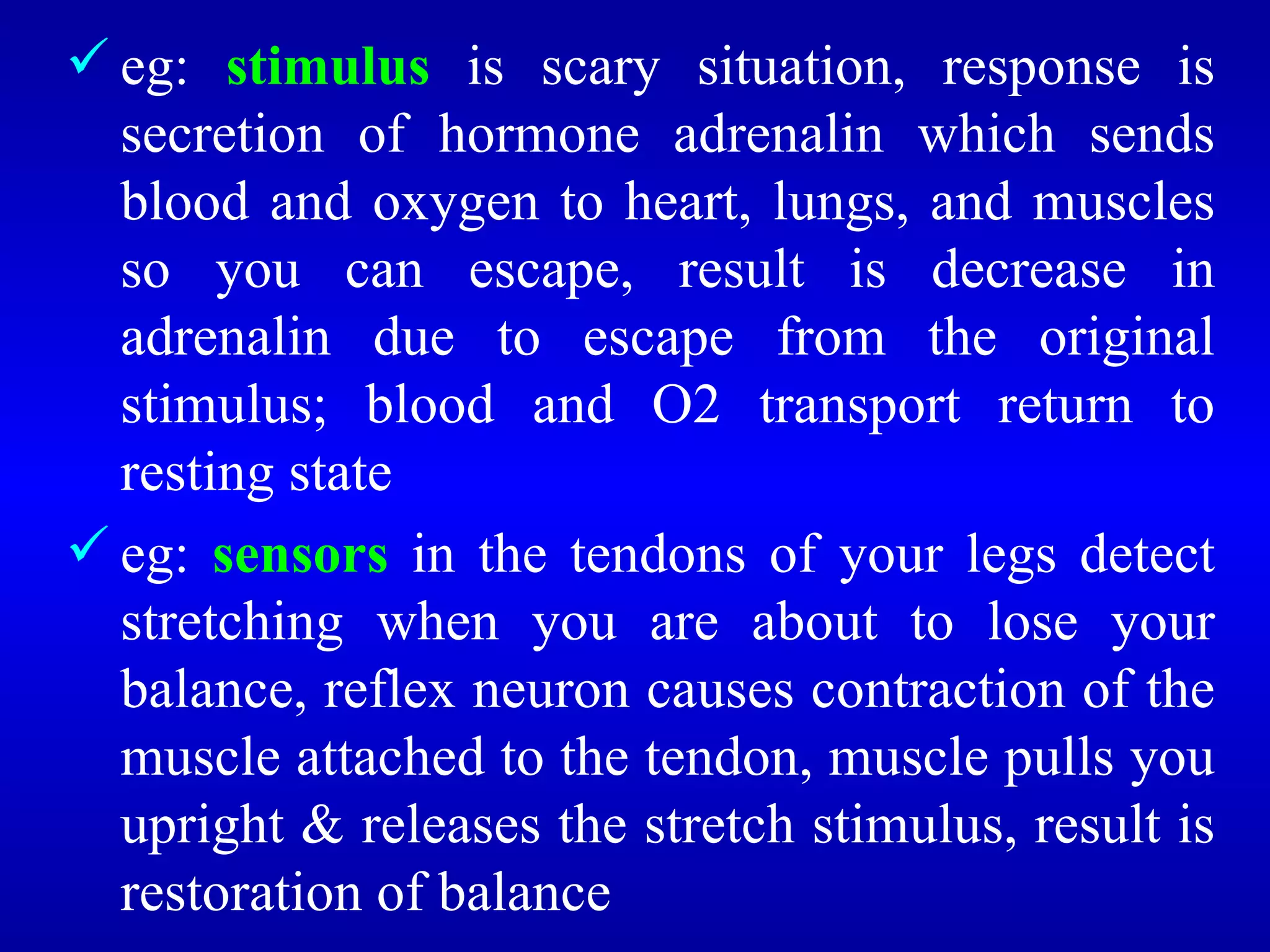 Anatomy And Physiology of Human body | PDF