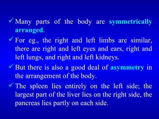 Anatomy And Physiology of Human body | PDF