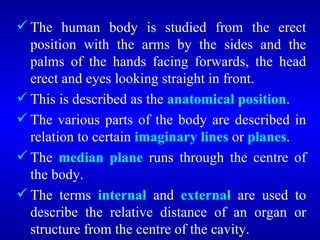 Anatomy And Physiology of Human body | PDF