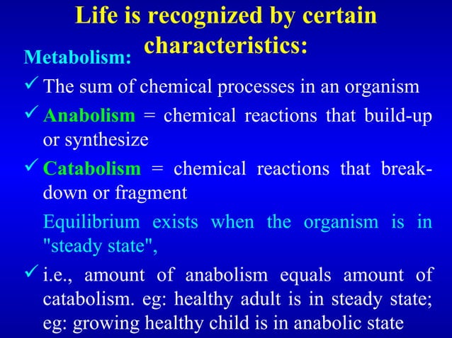 Anatomy And Physiology of Human body | PDF | Biological Sciences | Science