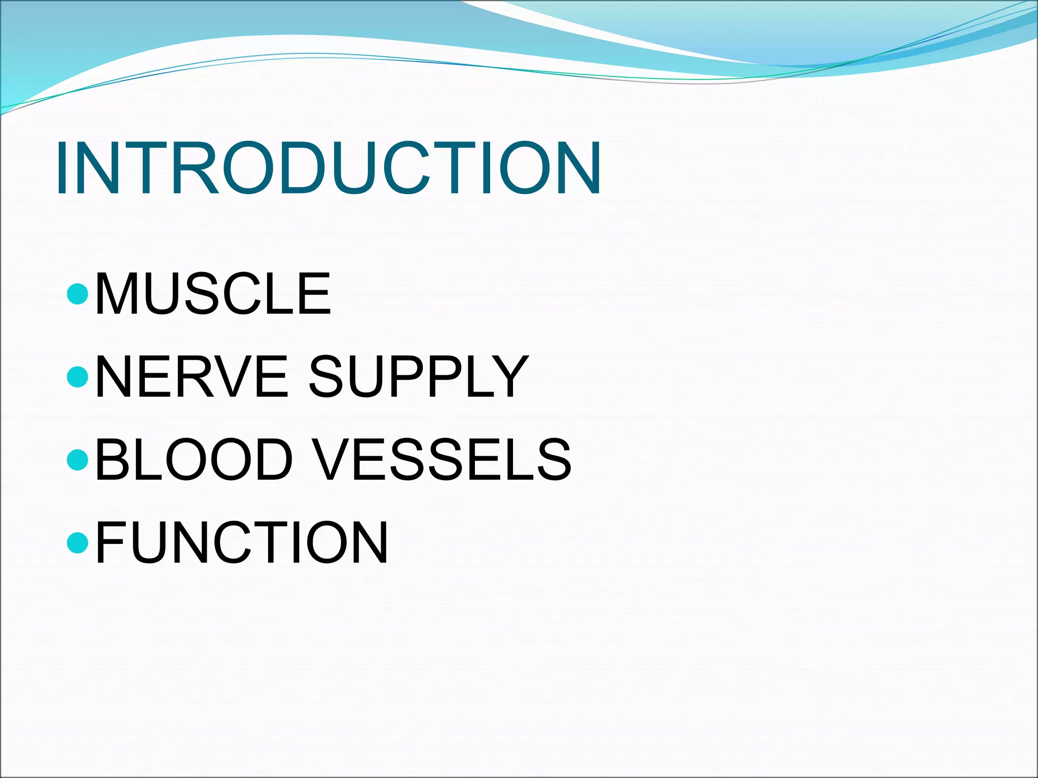 ANATOMY-- BACK OF ARM PPT.ppt