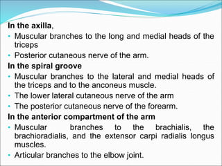ANATOMY-- BACK OF ARM PPT.ppt