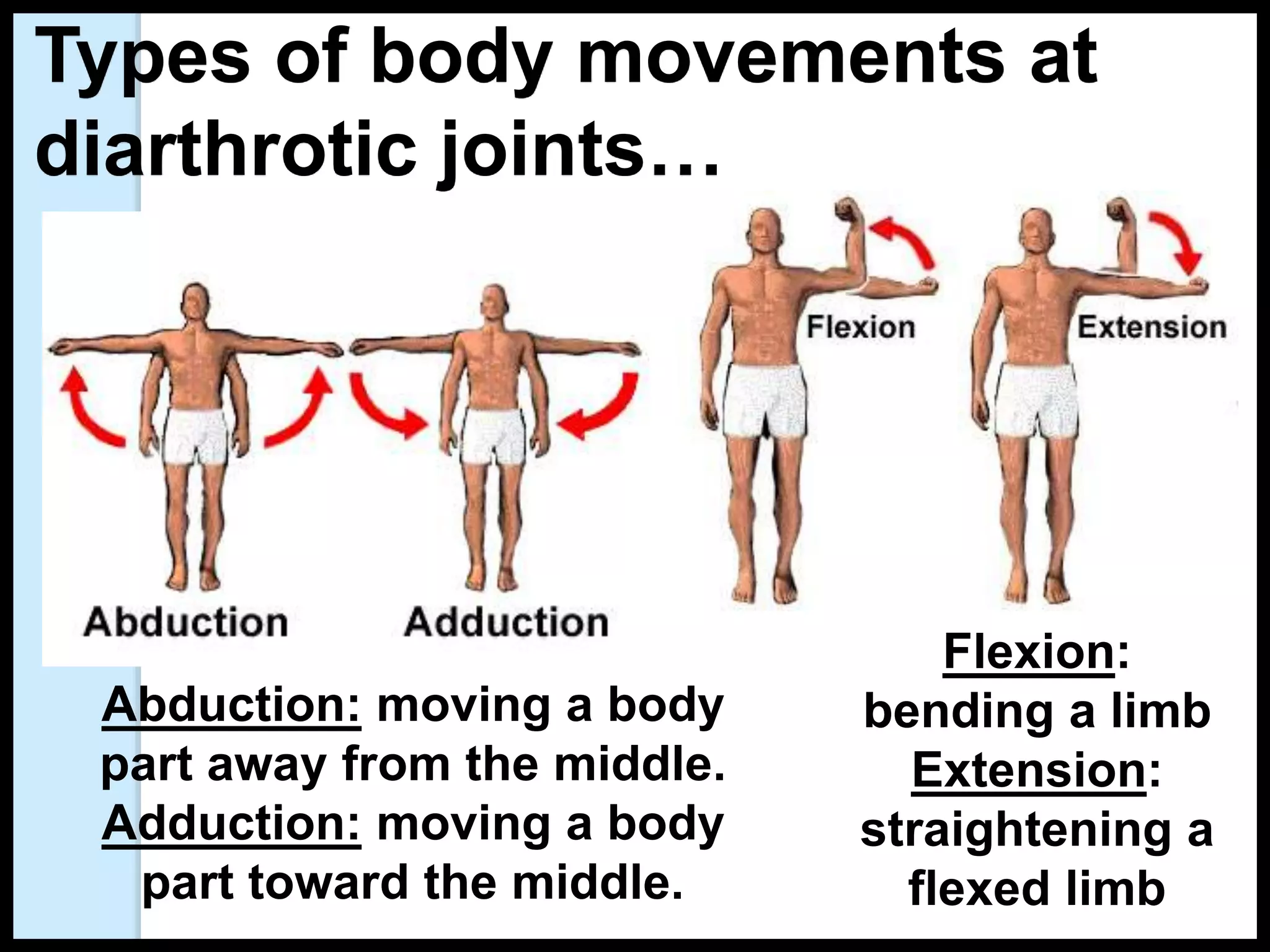 -Anatomy-bone and joint.ppt