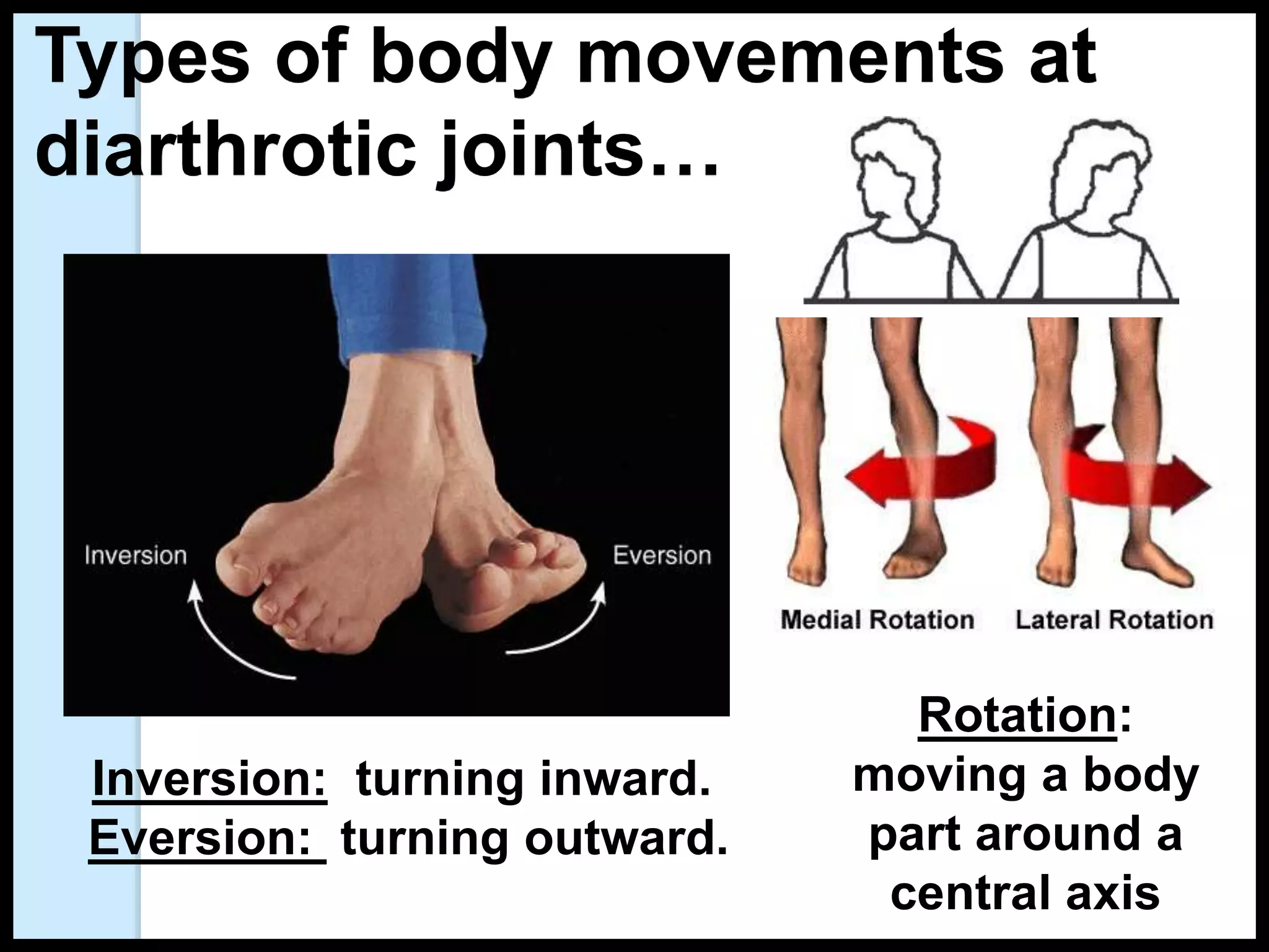 -Anatomy-bone and joint.ppt