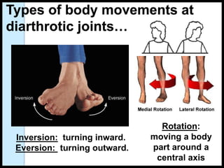 -Anatomy-bone and joint.ppt