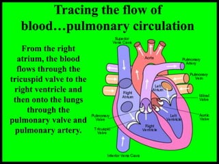 Anatomy and physiology of circulatory system | PPT