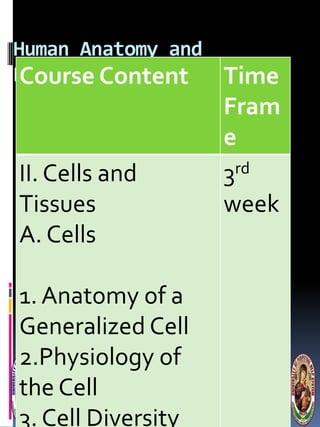 Anatomy first-day | PPTX