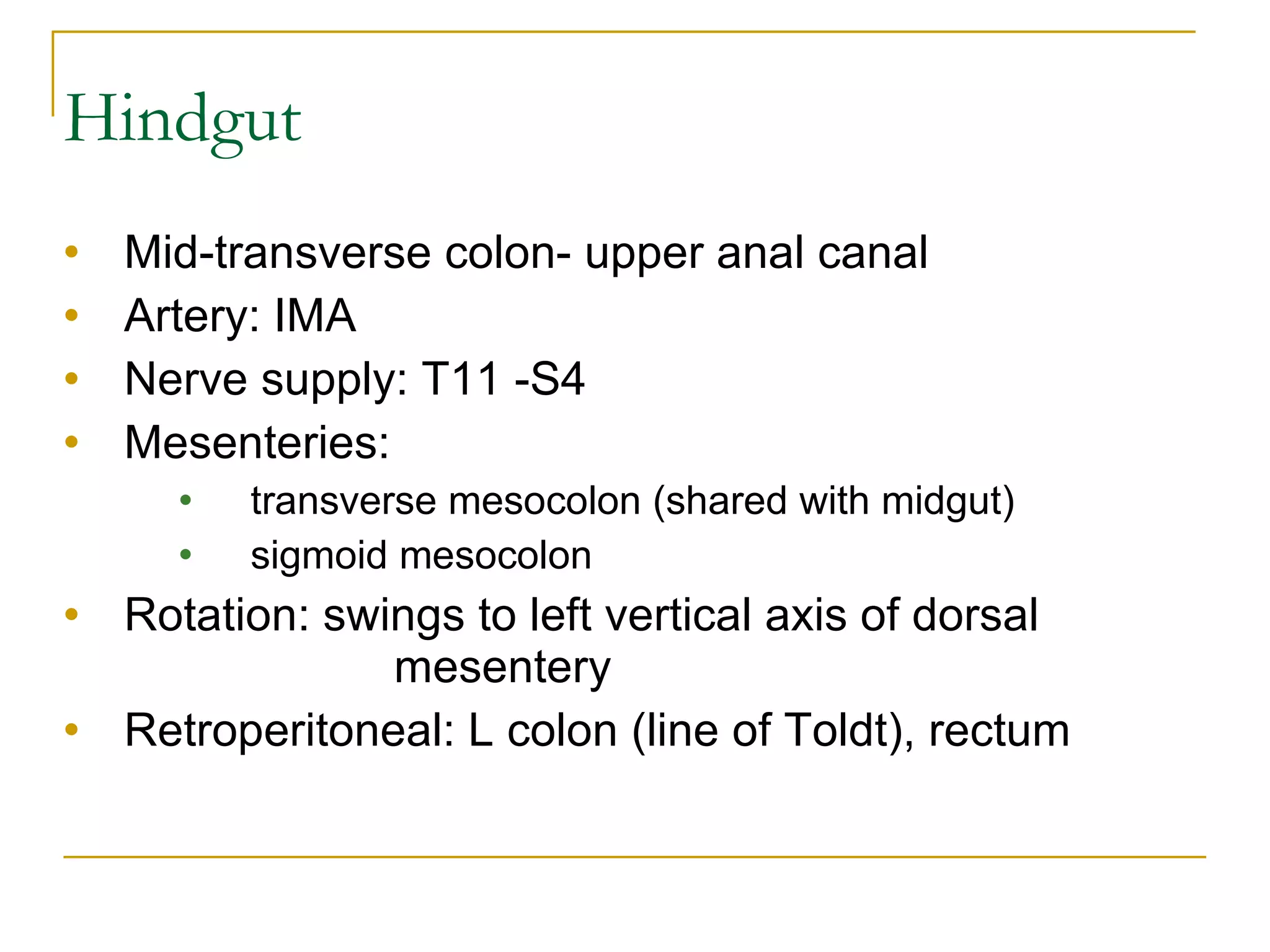 Principles of abdominal anatomy | PPT