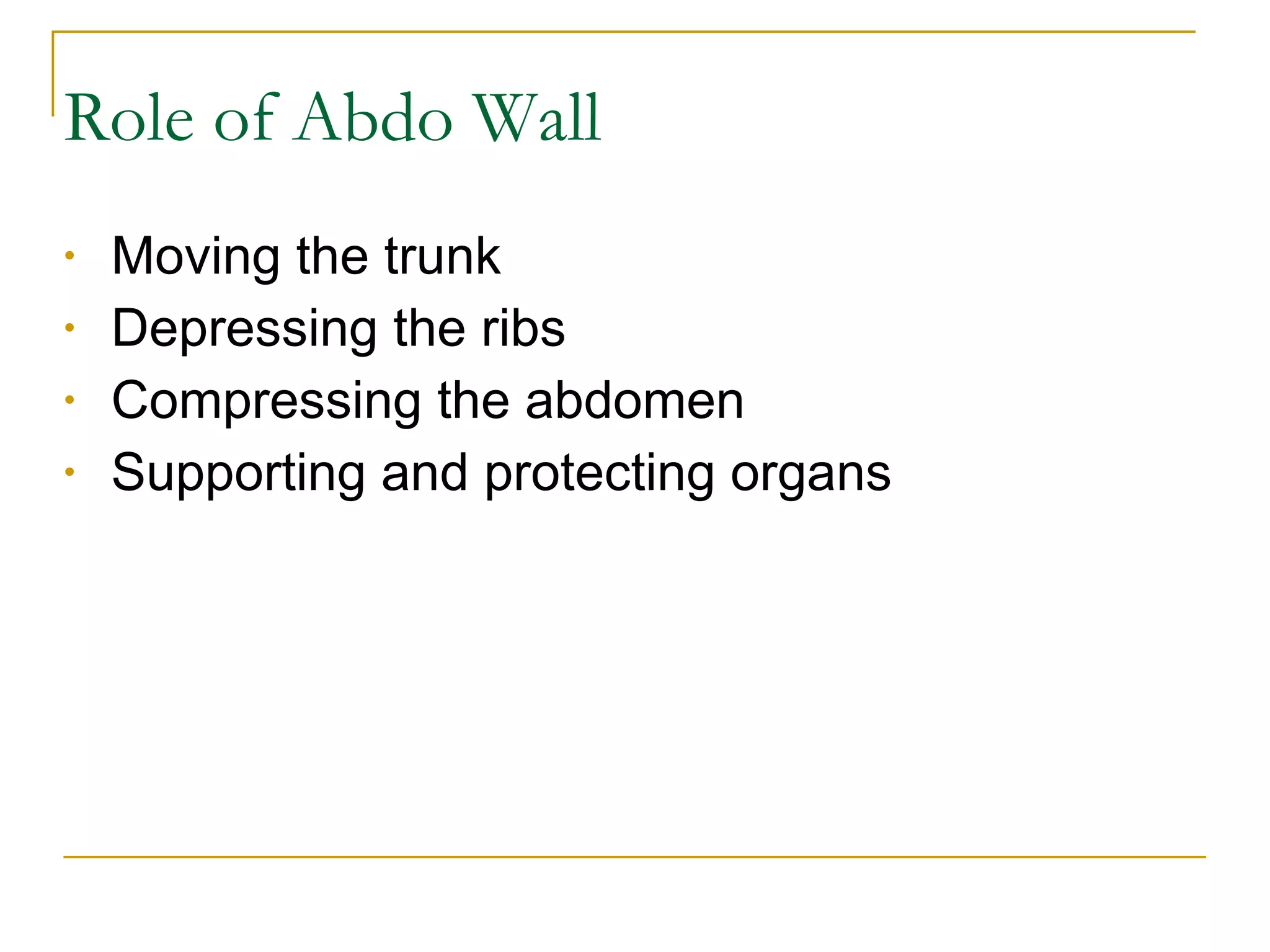 Principles of abdominal anatomy | PPT