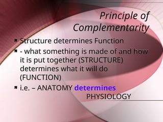Intro to anatomy and physiology lecture slides | PPT