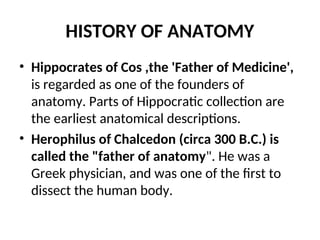 ANATOMY- introduction.ppt this is about the dental | PPT