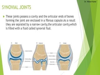 ANATOMY-joints,classification,structure.pptx