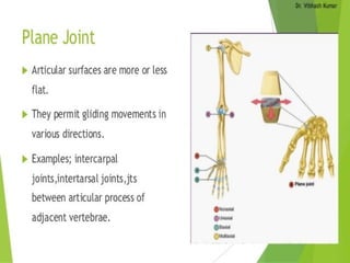 ANATOMY-joints,classification,structure.pptx