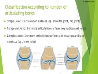ANATOMY-joints,classification,structure.pptx