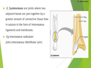 ANATOMY-joints,classification,structure.pptx
