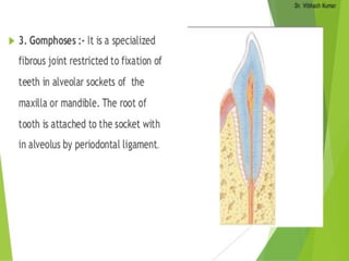 ANATOMY-joints,classification,structure.pptx