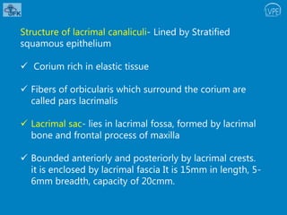Anatomy -Lacrimal Apparatus.pptx