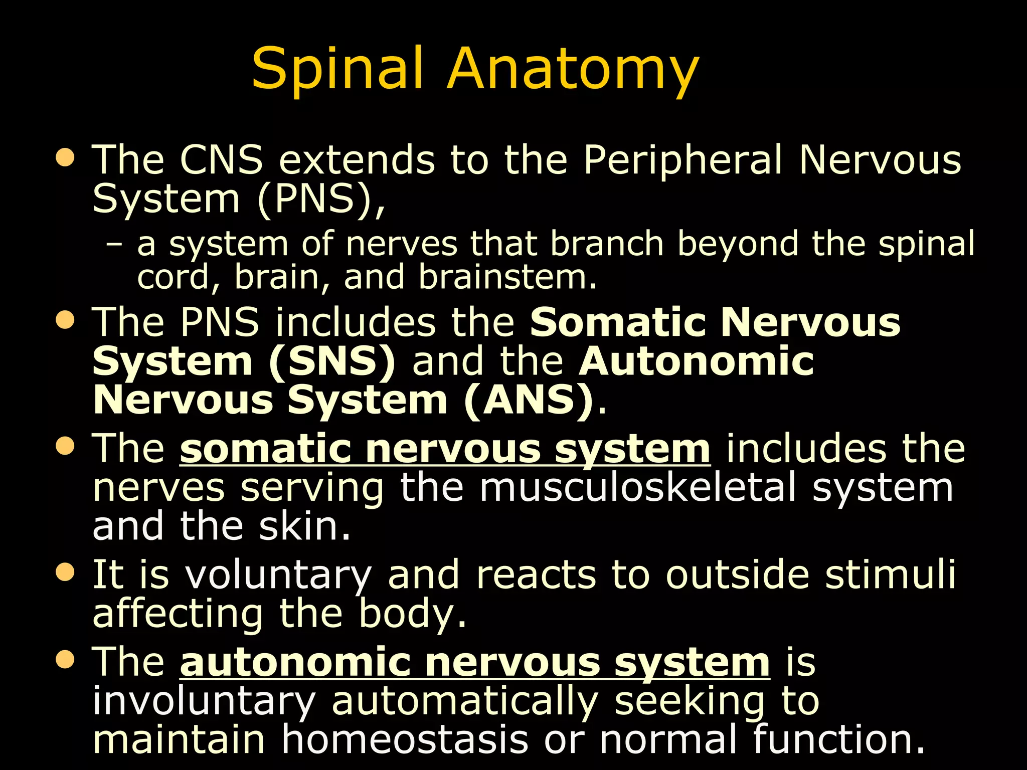 Anatomy Lect 5 Trunk & Spine | PPT