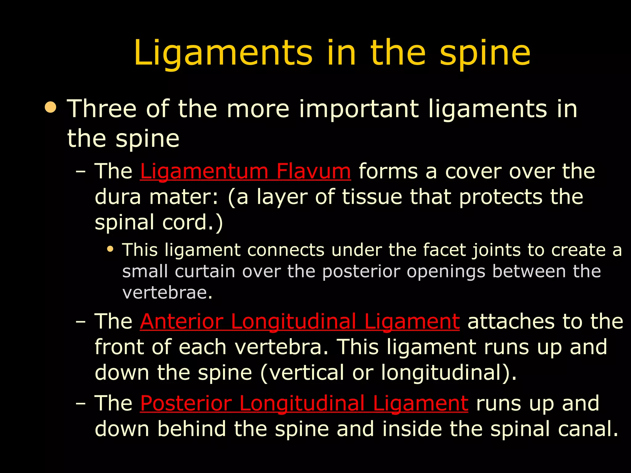 Anatomy Lect 5 Trunk & Spine | PPT
