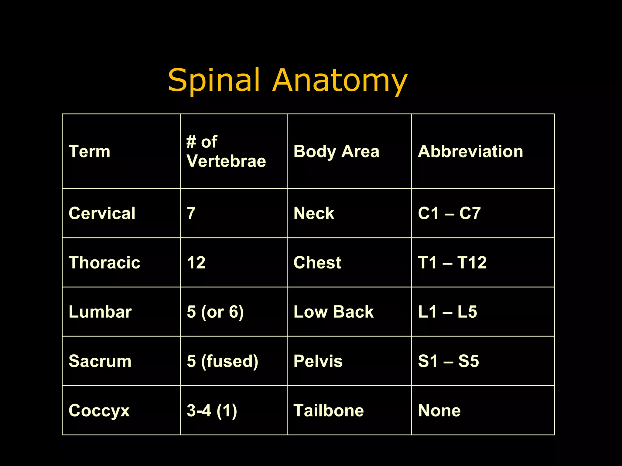 Anatomy Lect 5 Trunk & Spine | PPT