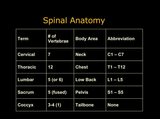 Anatomy Lect 5 Trunk & Spine | PPT