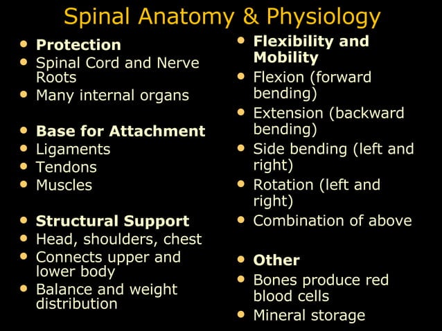 Anatomy Lect 5 Trunk & Spine | PPT