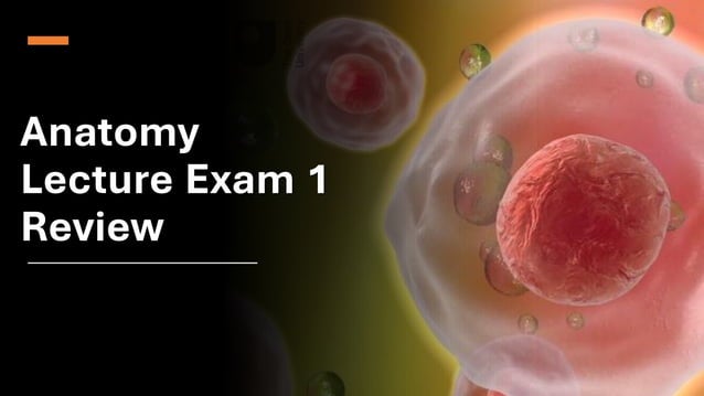 Anatomy and physiology-Lecture-Exam-Study-Guides-1.pdf