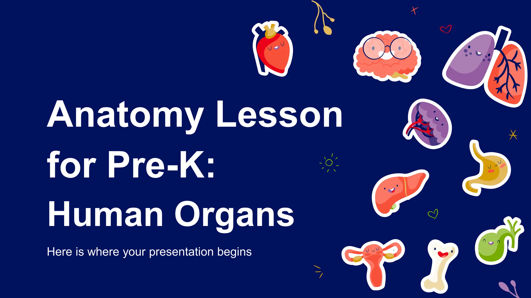 anatomy-lesson-for-pre-k-an-orghans.pptx