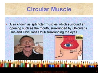 Anatomy muscular system | PPTX